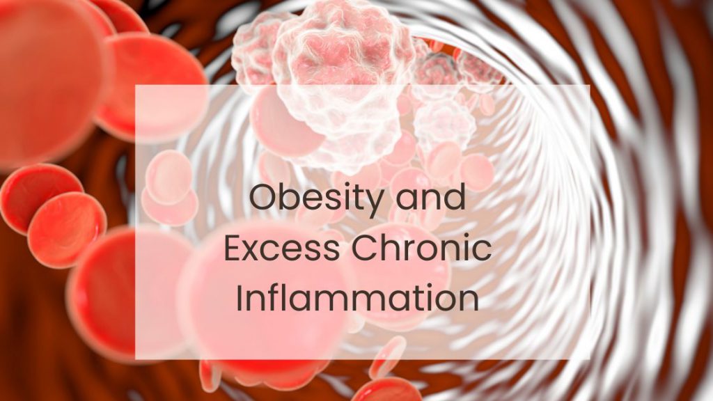 Obesity is a symptom, not the cause. Part – 5: Excess Chronic ...
